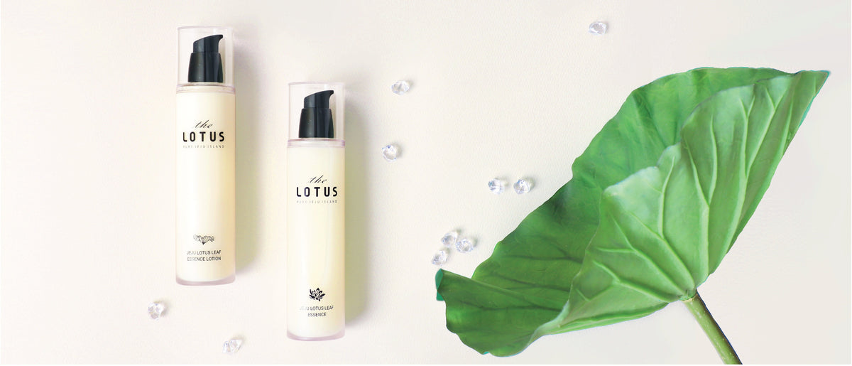 The Pure Lotus Jeju Lotus Essence And Essence Lotion